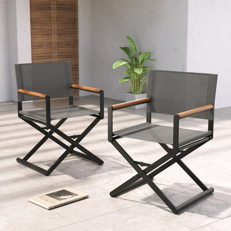 Arlmont Co. Siepie Folding Director Chair Set of 2